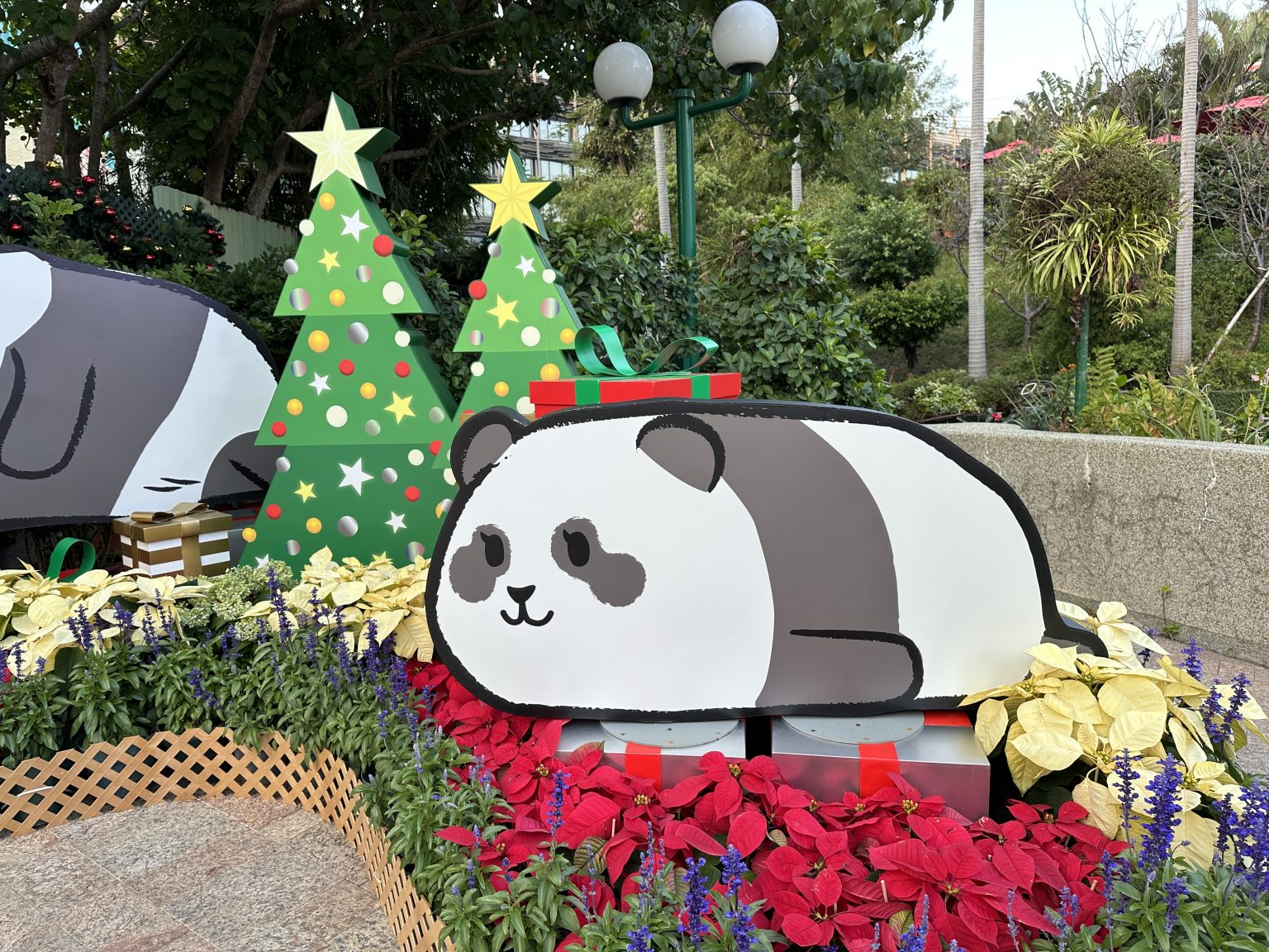 黃巴士 — 海洋公園推出熊貓主題聖誕慶典 設沉浸式光影互動+熊貓打卡位